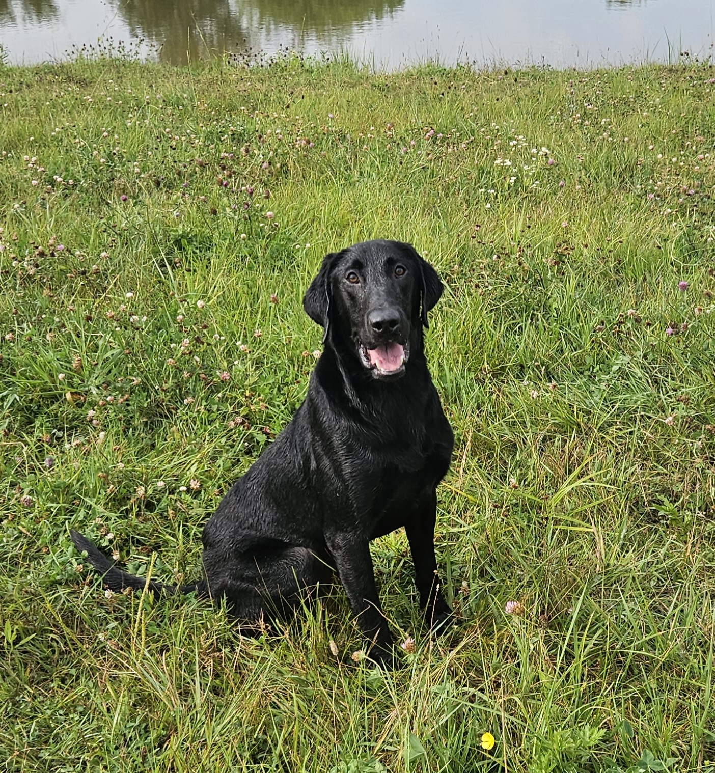 Bustin' Water Kennels in Center City, MN